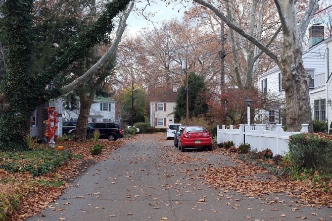 Radburn, New Jersey | Peregrine nation