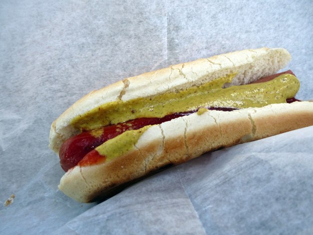 Hot Dog Blog: Part Two | Peregrine nation